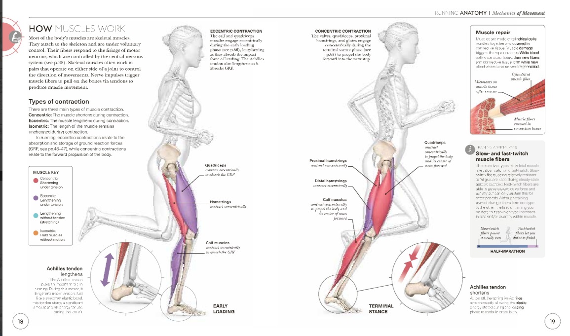 The Science of Running -Interview with Dr. Chris Napier | Marathon ...